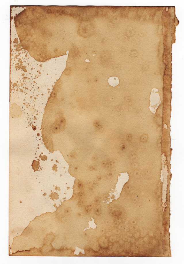stainedpaper5.jpg - L+T